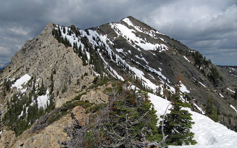 Mount Crandell | Scrambling in Waterton Lakes National Park ...